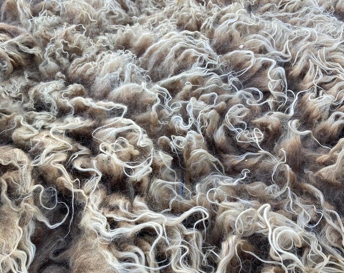 Raw Shetland Wool, Moorit, Full Fleece, Unwashed, Skirted, 2 Lbs 12 Oz ...