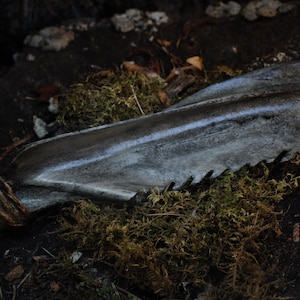 Primitive Deer Scapula Reed/herb Cutting Saw - Etsy