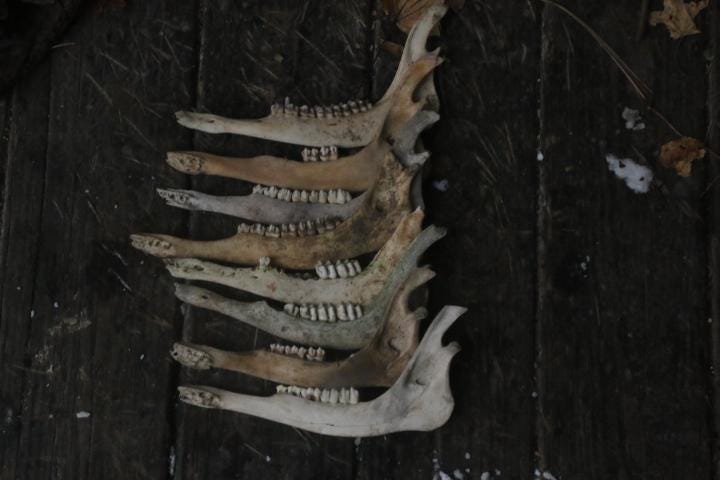 Made to Order: Deer Jawbone Carved Sigil Hanger - Etsy
