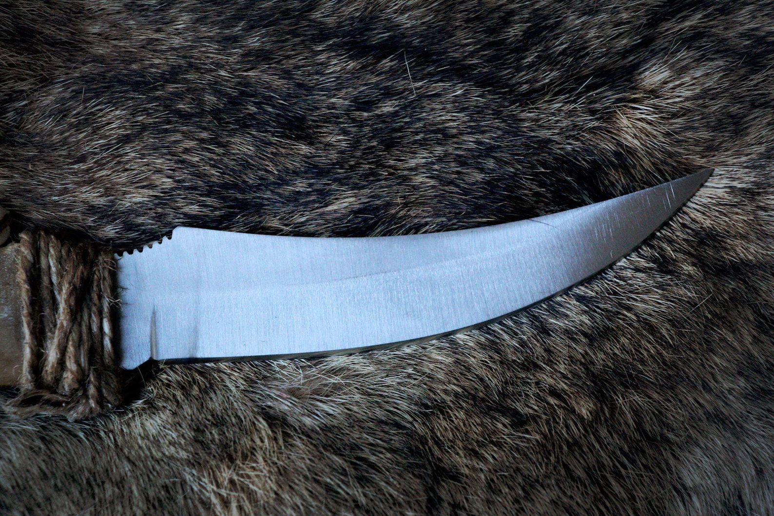 Made to Order : Primitive Sigil Deer Jawbone Ritual Knife - Etsy