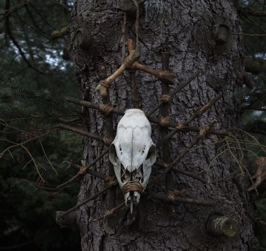 ᚾ Web of Wyrd ᚾ Deer Skull and Bones Cedar Wood Hanger - Etsy