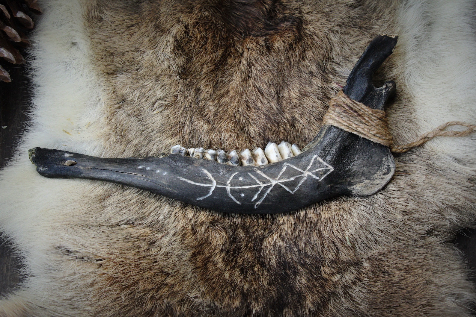 Made to Order: Icelandic Sigil Deer Jawbone Charm Hangers - Etsy