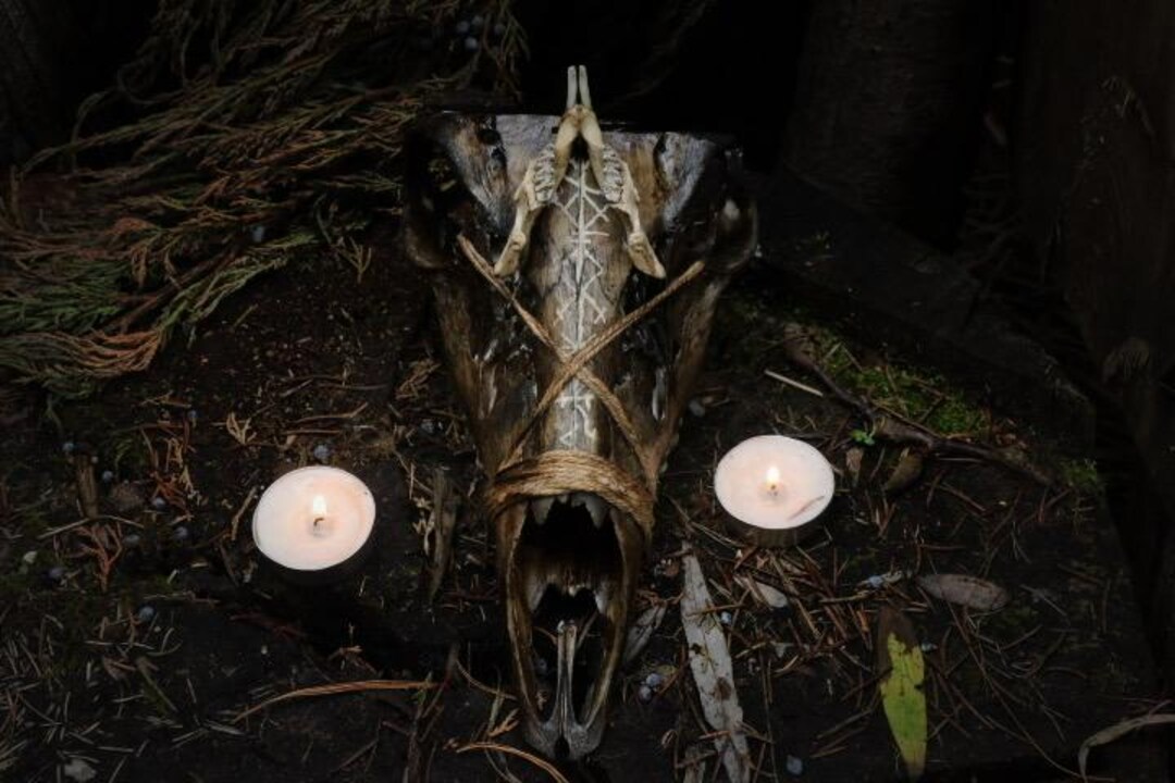 Deer Skull and Muskrat Jaw Sigil Skull Sculpture - Etsy