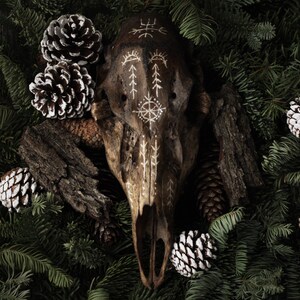 Made to Order : Stained and Carved Sigil Whitetail Deer Skull - Etsy