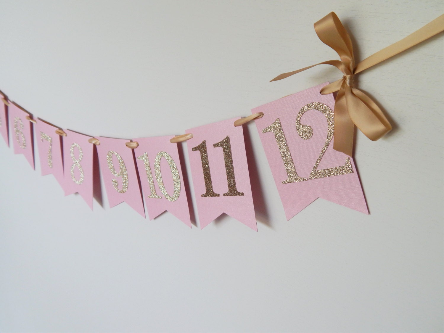 Pink and Gold First Year Banner First Year Twinkle Banner | Etsy