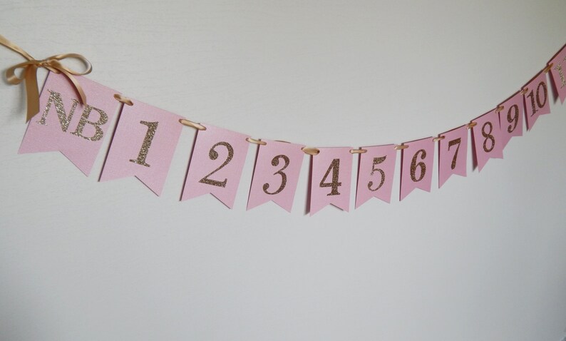 Pink and Gold First Year Banner First Year Twinkle Banner - Etsy