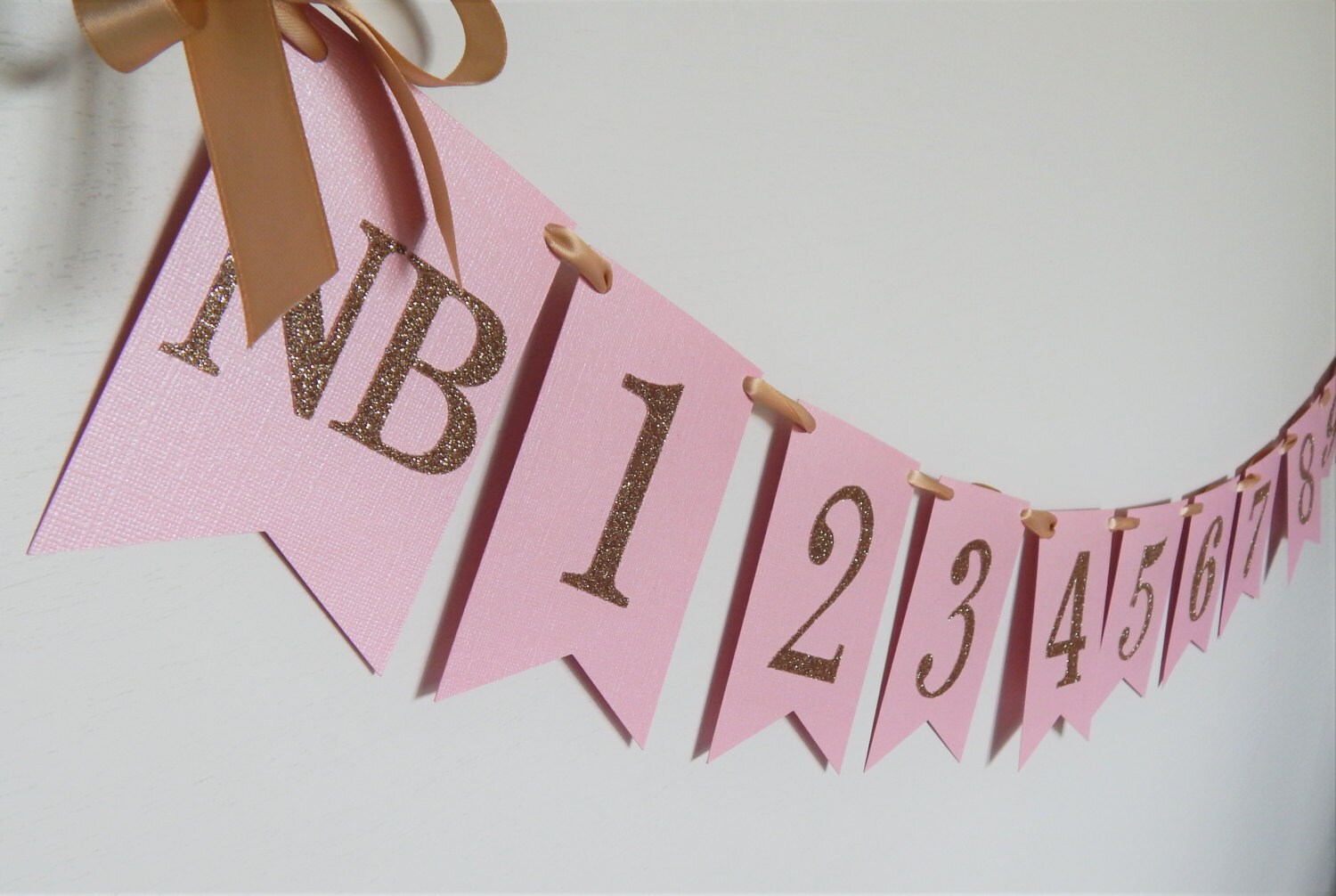 Pink and Gold First Year Banner First Year Twinkle Banner - Etsy