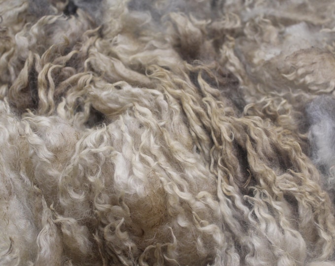 Max's Lincoln/jacob X Natural Colored Raw Wool Fleece - Etsy