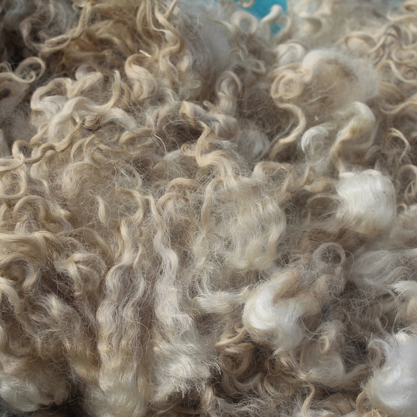 Raw Wool Fleece - Etsy