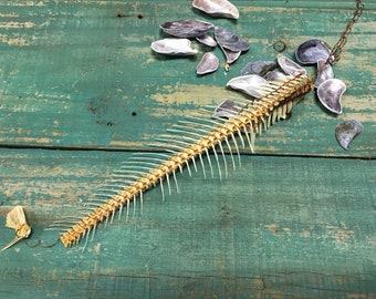Fish vertebrae | Etsy