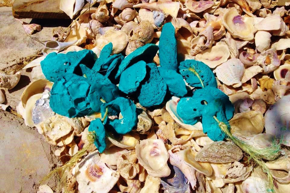 SUPPLY: 20 Hand Painted Turquoise Drilled Oyster Shells | Etsy