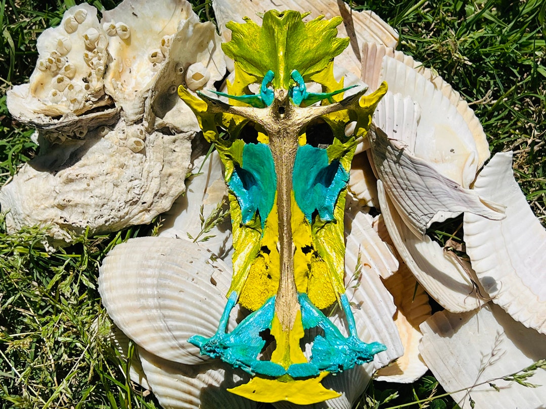 SUPPLY: 1 Hand Painted Crucifix Fish Skull Bone/ Jesus Christ on the ...