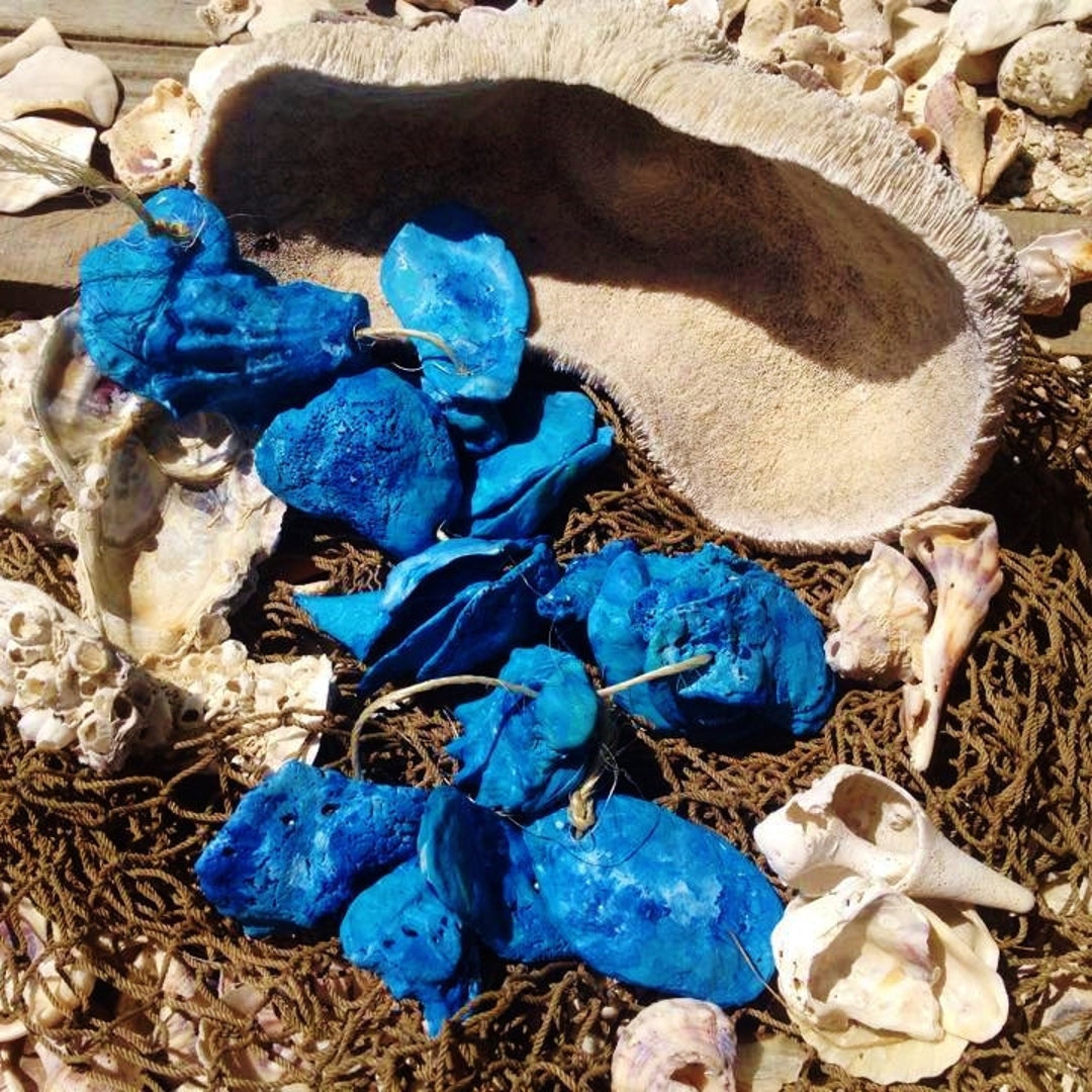 SUPPLY: 20 Hand Painted Blue Drilled Oyster Shells Craft Shells Beach ...