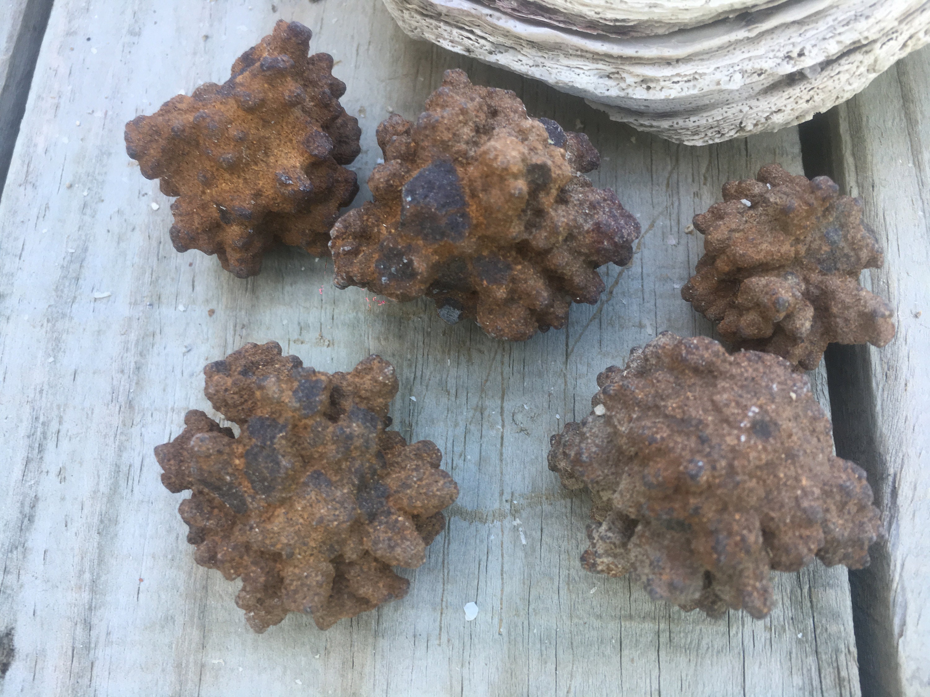 SUPPLIES: 5 Natural Popcorn Rocks / Bubble Rocks / Amulets | Etsy