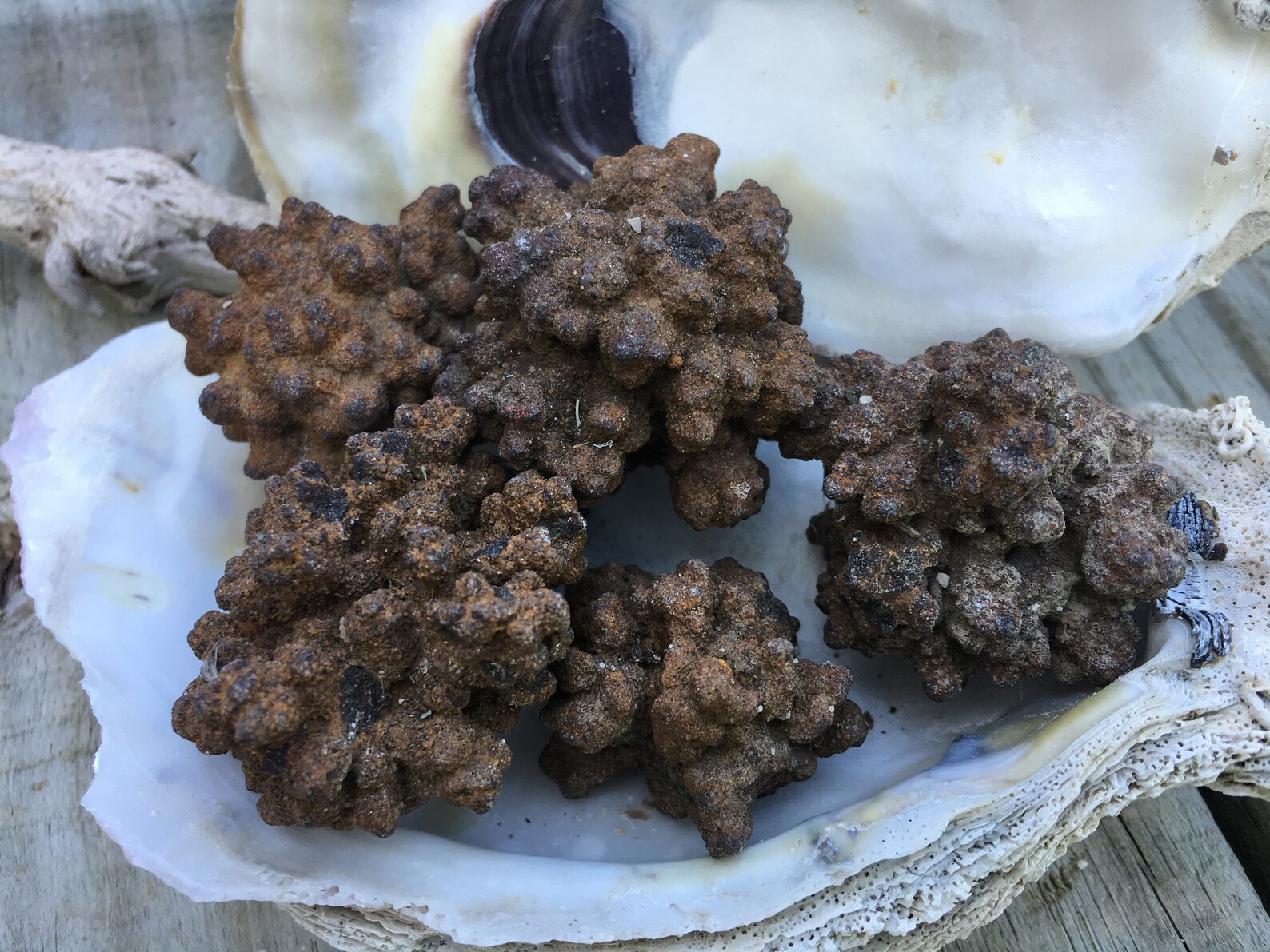 SUPPLIES: 5 Natural Popcorn Rocks / Bubble Rocks / Amulets | Etsy