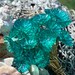 SUPPLY: 8 Mix Turquoise Green Color Glass Flower - Etsy