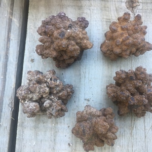 SUPPLIES: 5 Natural Popcorn Rocks / Bubble Rocks / Amulets Magic Rocks ...