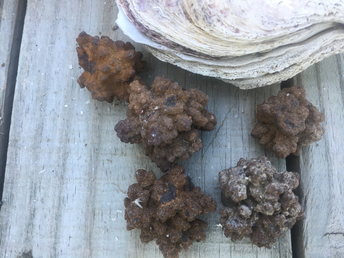 SUPPLIES: 5 Natural Popcorn Rocks / Bubble Rocks / Amulets | Etsy