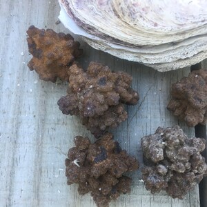 SUPPLIES: 5 Natural Popcorn Rocks / Bubble Rocks / Amulets Magic Rocks ...