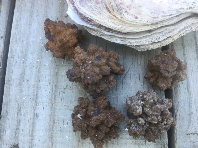 SUPPLIES: 5 Natural Popcorn Rocks / Bubble Rocks / Amulets | Etsy