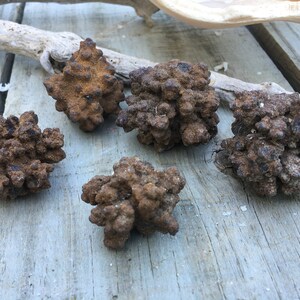 SUPPLIES: 5 Natural Popcorn Rocks / Bubble Rocks / Amulets Magic Rocks ...