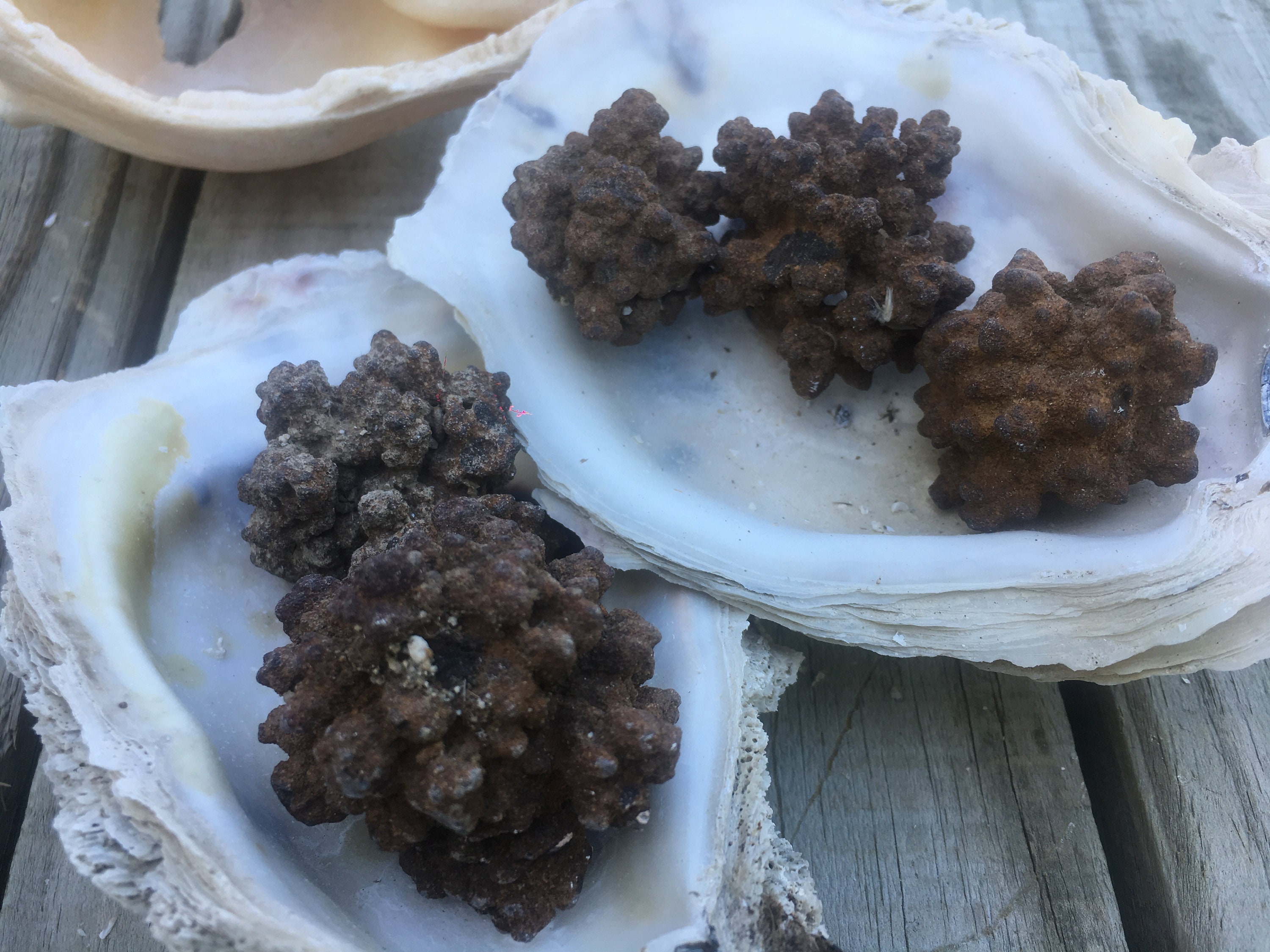 SUPPLIES: 5 Natural Popcorn Rocks / Bubble Rocks / Amulets - Etsy