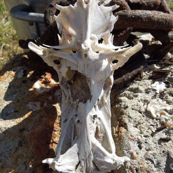 Unique Crucifix - Etsy