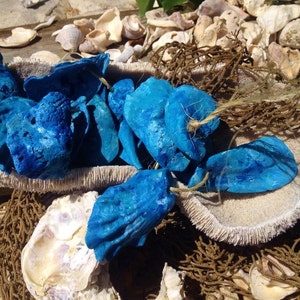 SUPPLY: 20 Hand Painted Blue Drilled Oyster Shells Craft Shells Beach ...