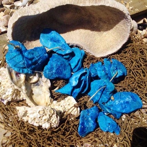 SUPPLY: 20 Hand Painted Blue Drilled Oyster Shells Craft Shells Beach ...