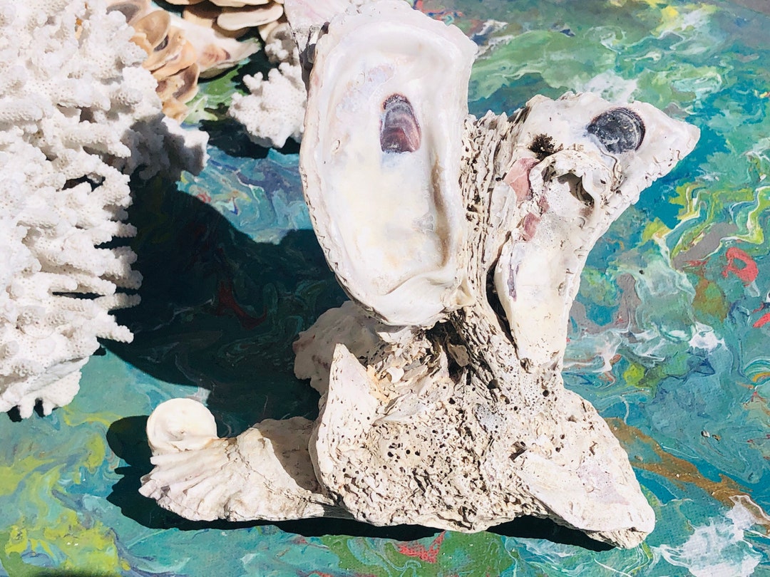 Oyster Shell - Cluster Shell Centerpiece - Natural Shell - Natural ...