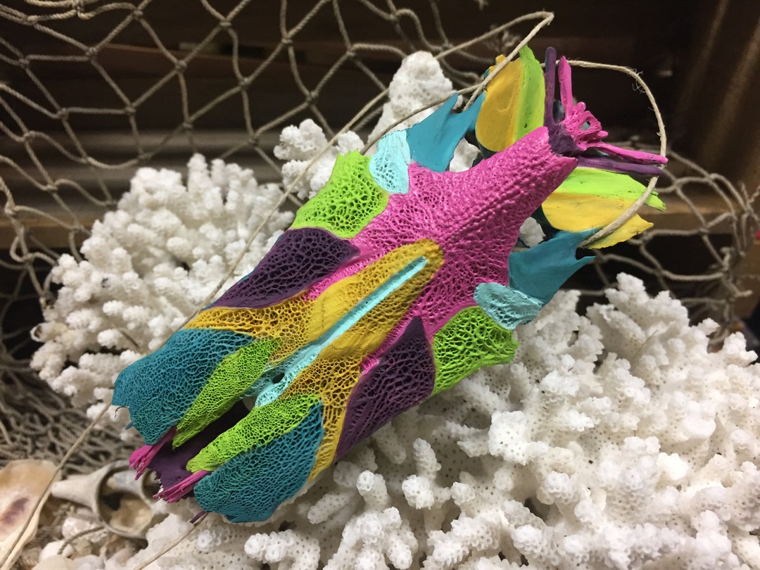 Hand Painted Crucifix Fish Skull Bone: Tribal Natural History Decor - Etsy