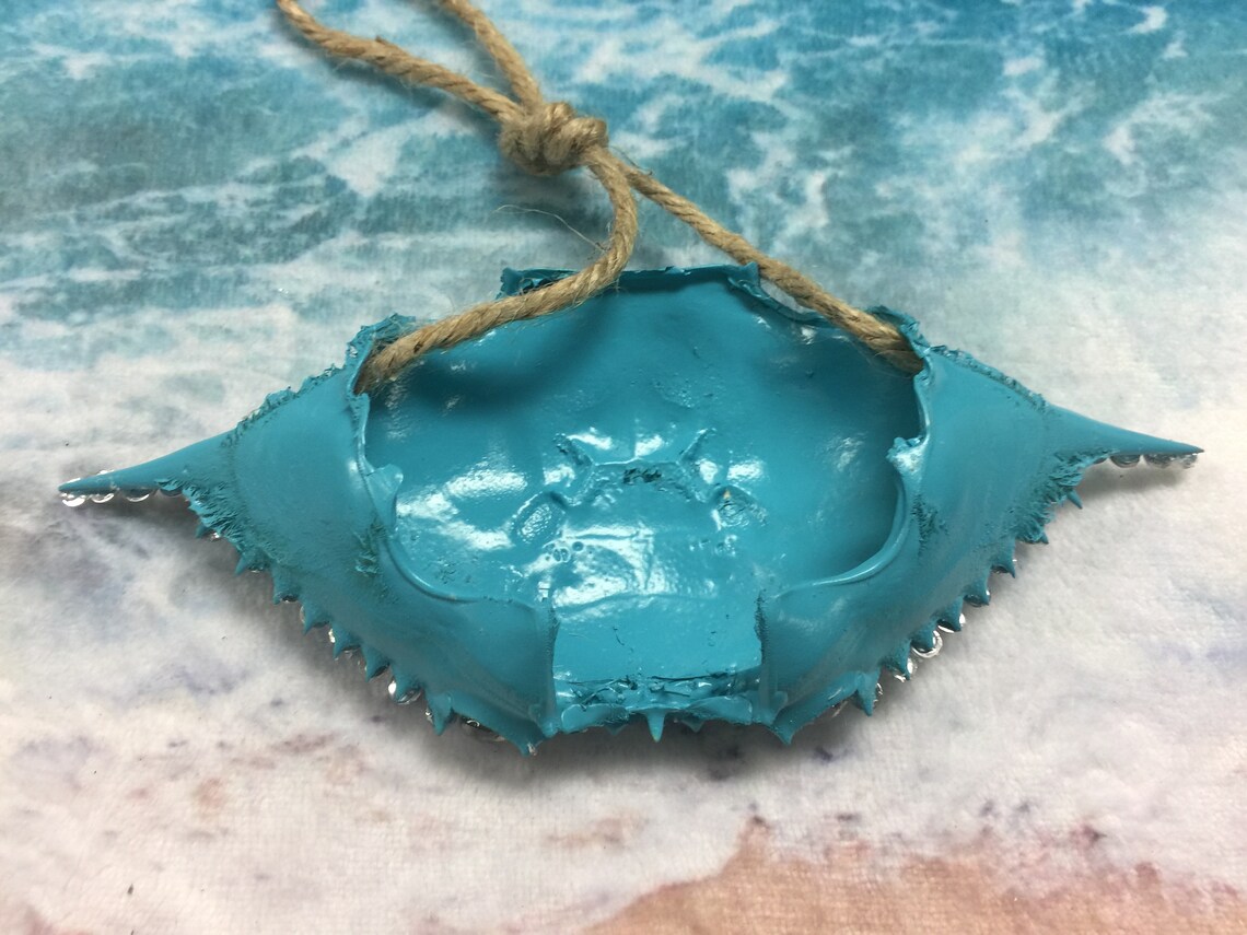 Hand Painted Crab Shell Ornament: Coastal Christmas Decor - Etsy