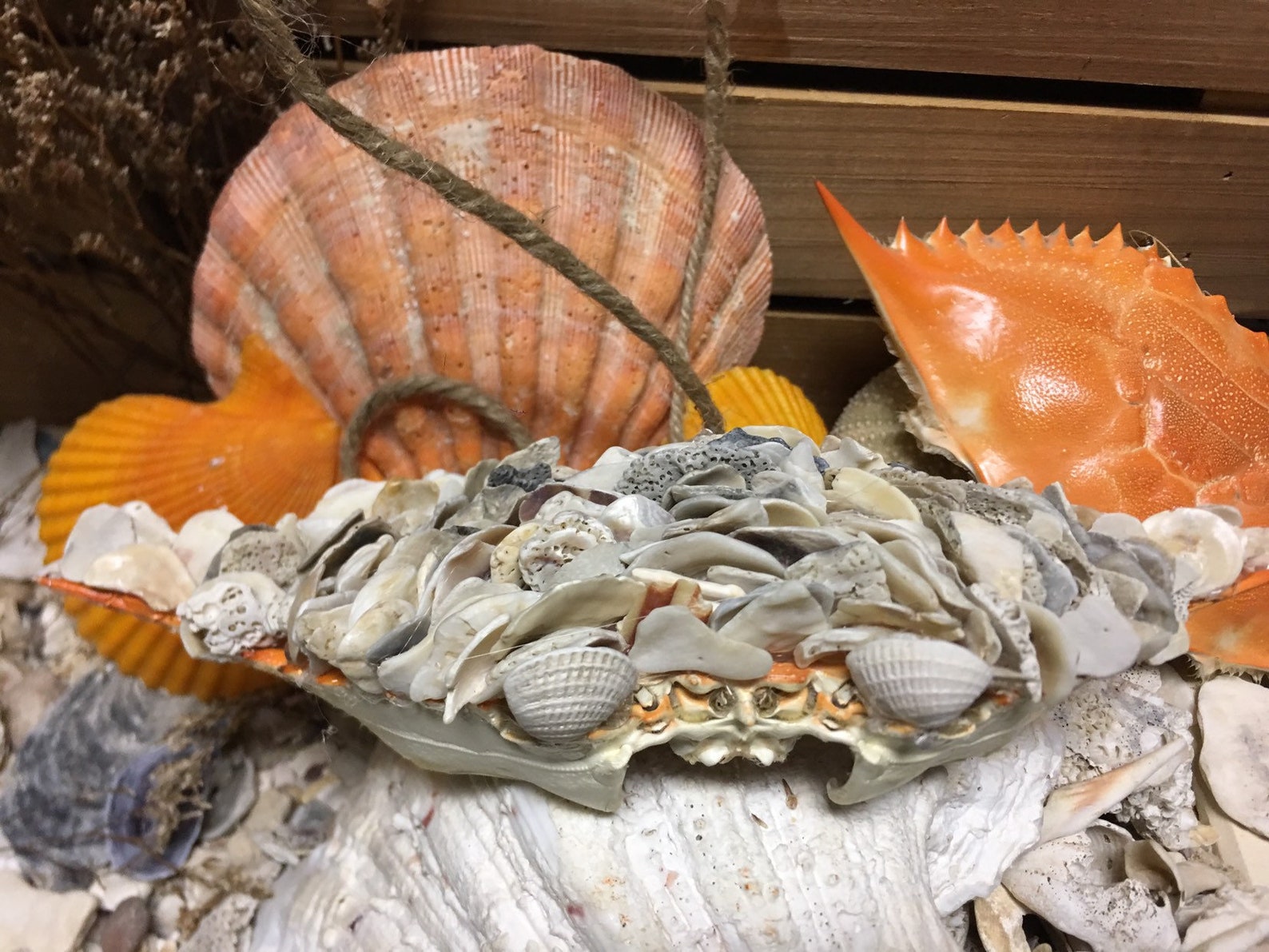 Crab Shell Ornament Hostess Gift Party | Etsy