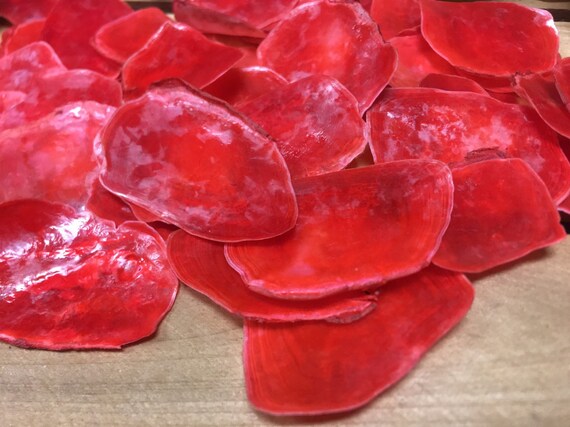 Craft Supplies & Tools Dyed Red Gar Scales 12-1 12 Taxidermy Crafts ...