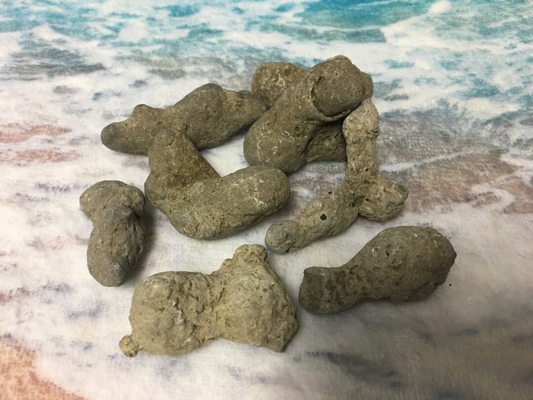 SUPPLIES: 8 Turd Stones /natural Beach Rocks / Joke Rocks.d6-13701068 ...