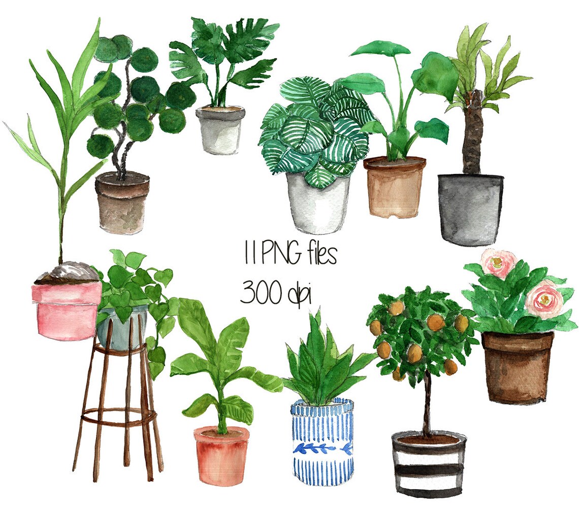 Indoor Plant Pot Cliparts, Watercolor Clipart, Plant Clipart, Potted ...