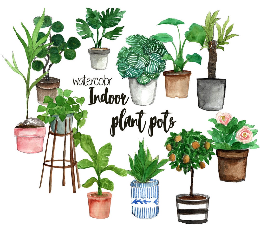 Indoor Plant Pot Cliparts, Watercolor Clipart, Plant Clipart, Potted ...