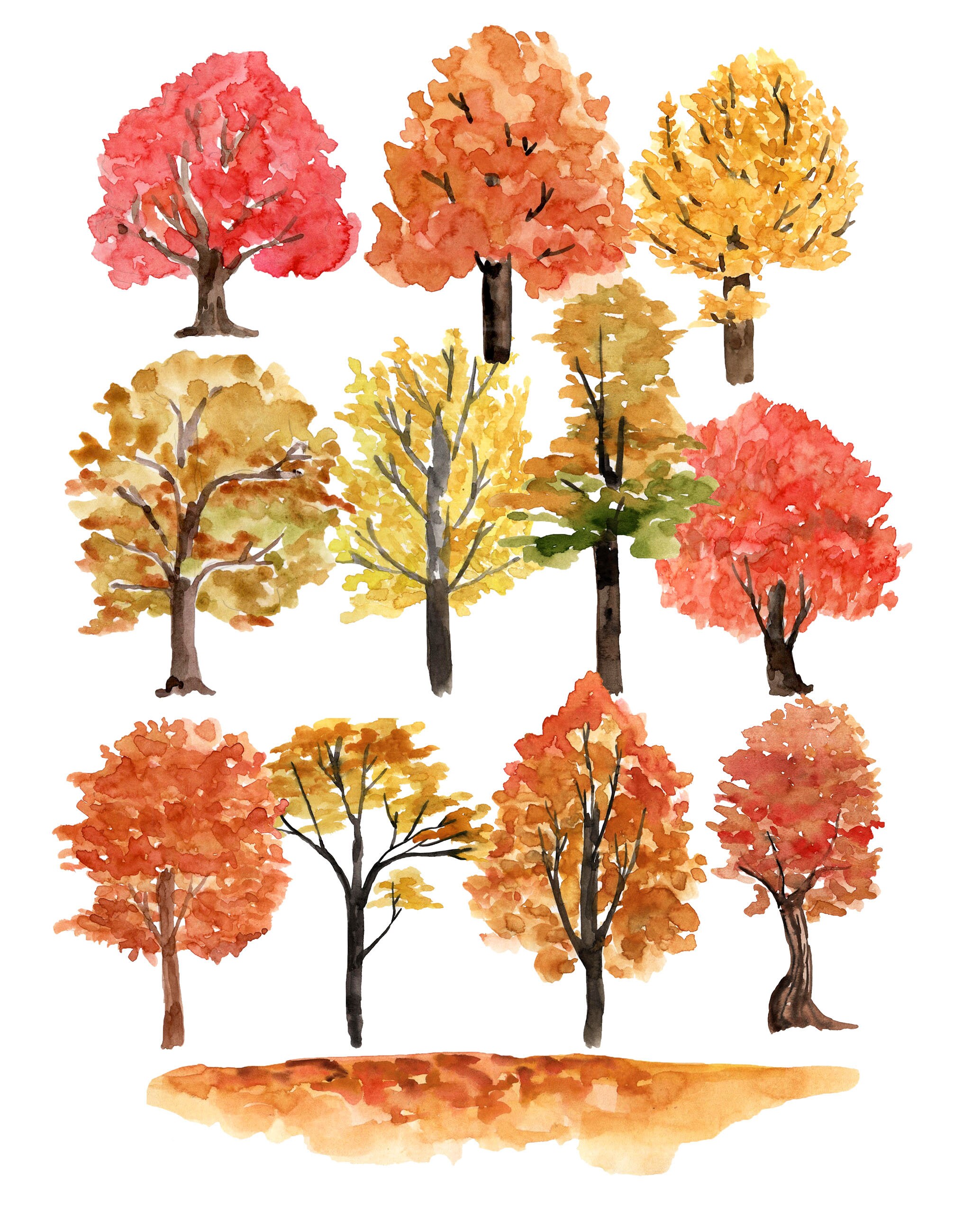 Autumn Trees Clipart Watercolor Tree Tree Clipart Fall Tree - Etsy