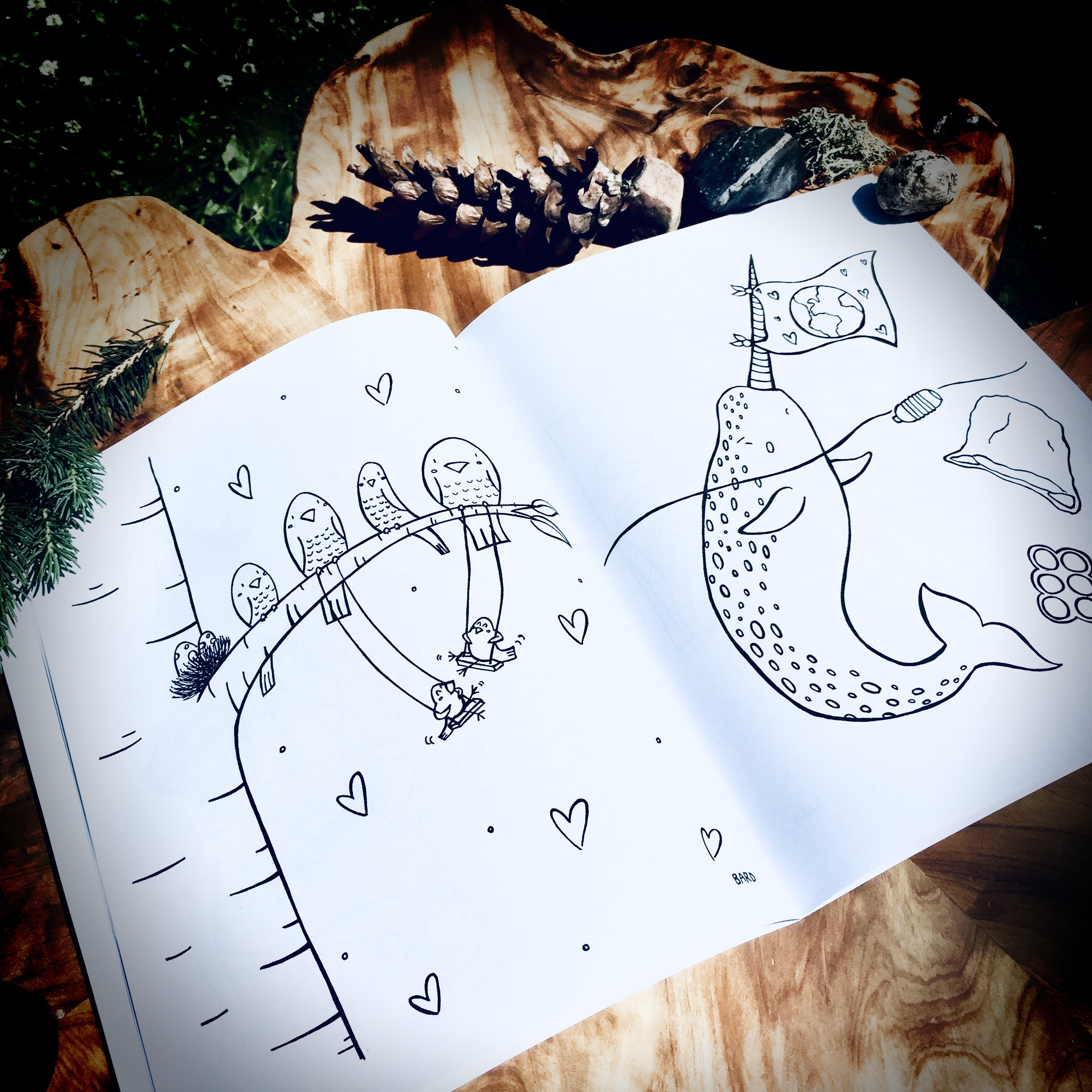Coloring Book for Equality - Etsy