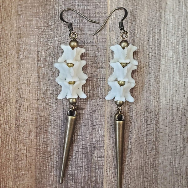 Vertebrae - Etsy