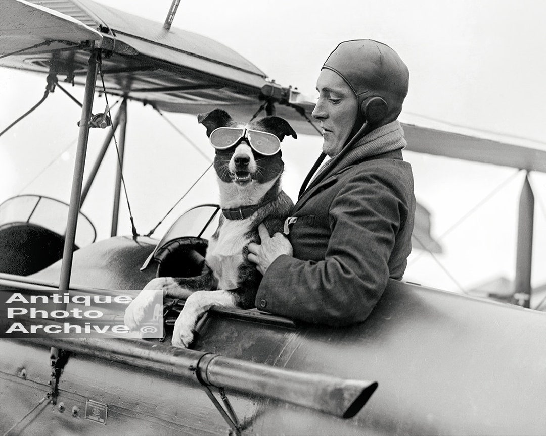 Dog Pilot Airplane Vintage Photo Print Photograph Wall Decor Art Plane ...