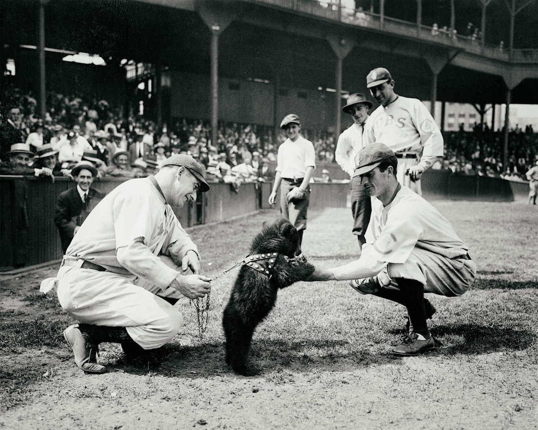 Chicago Vintage Baseball Photo Print Decor Wall Art Poster Gift Fan ...
