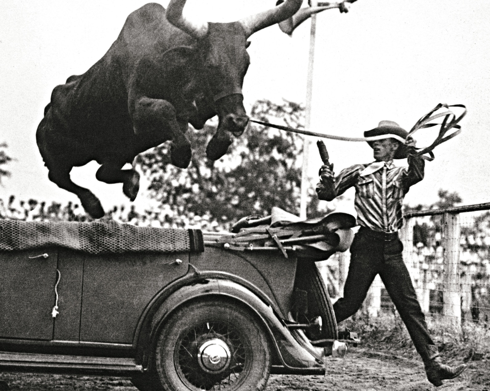 Vintage Photo Print Rodeo Cowboy Bull Jumping Car Western Wall - Etsy