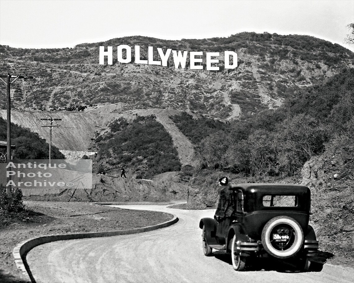 Hollyweed Poster Hollywood Sign Marijuana Art Weed Gift for - Etsy