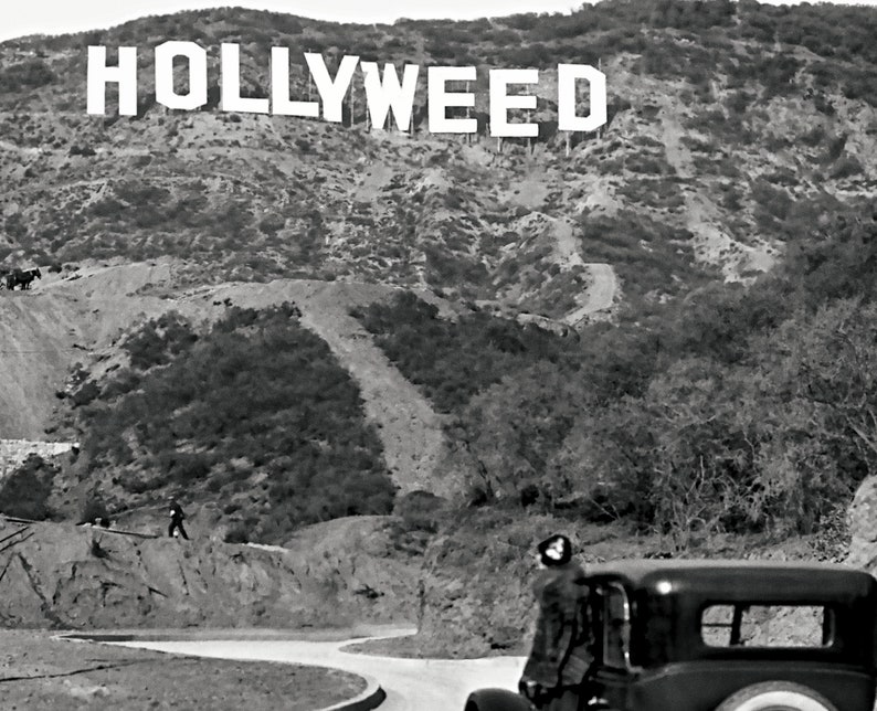 Hollyweed Poster Hollywood Sign Marijuana Art Weed Gift for - Etsy