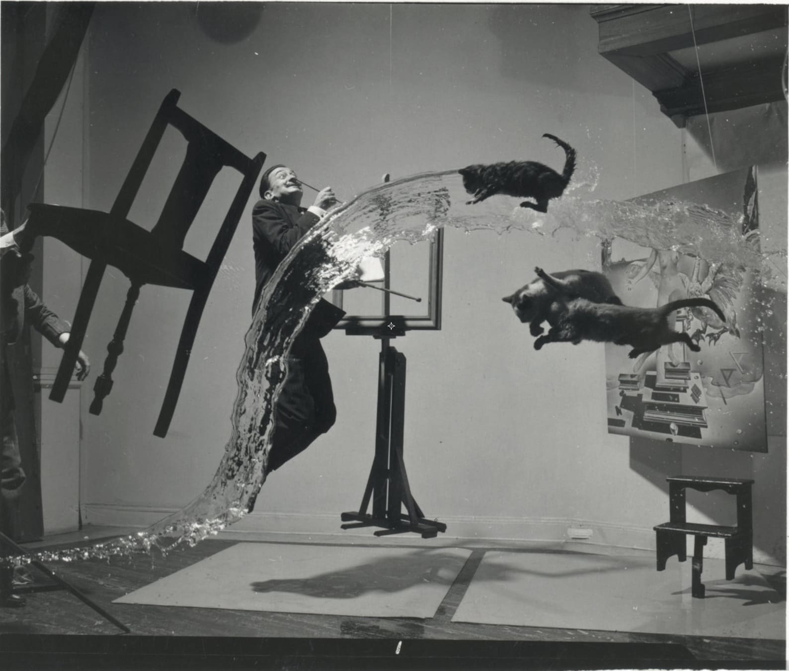 Surreal Photograph Dali and Jumping Cats in Water Print. Black and ...