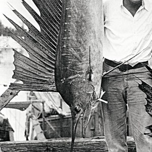 Ernest Hemingway Photo Print Poster Vintage Photography Writer Gift ...