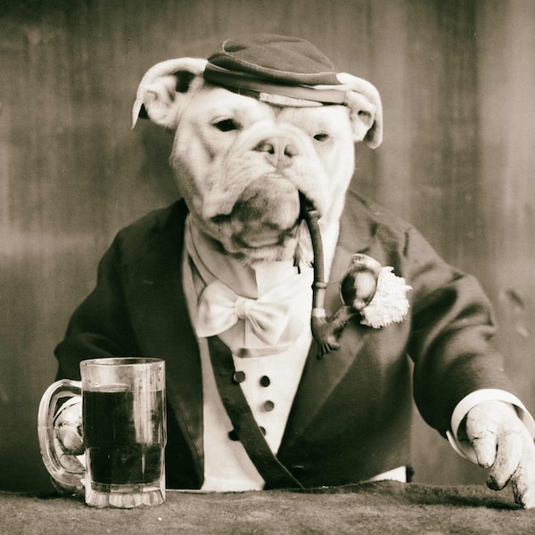 English is Weird Poster - Etsy