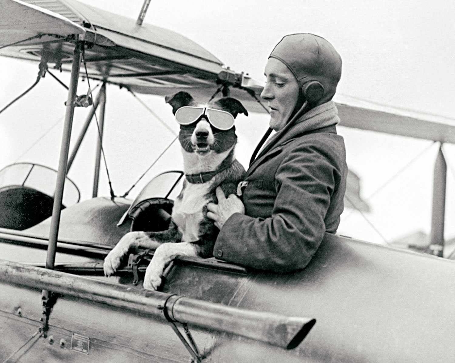 Dog pilot airplane vintage photo print photograph wall decor | Etsy