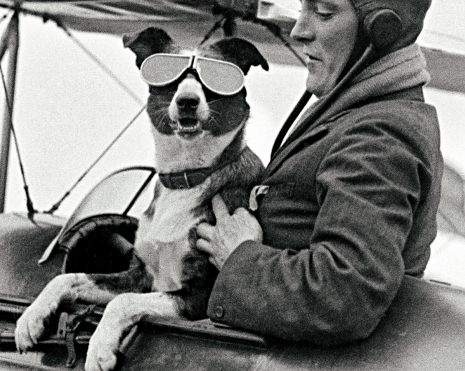 Dog Pilot Airplane Vintage Photo Print Photograph Wall Decor - Etsy